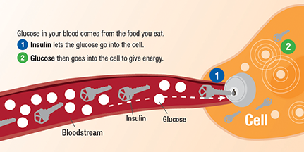 Diabetes Overview – ABDA